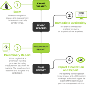 Tempo | Web-based Echo & Vascular Reporting and DICOM Viewer